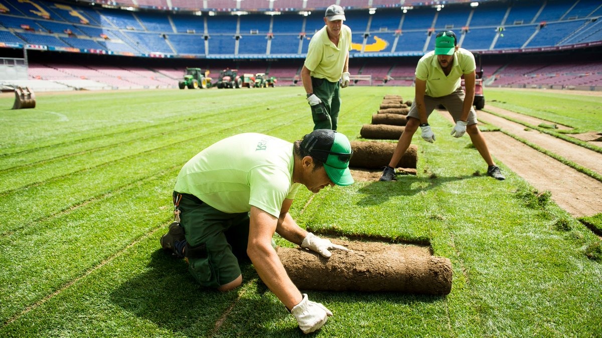 Césped híbrido: qué es y dónde se usa | Evolution Grass